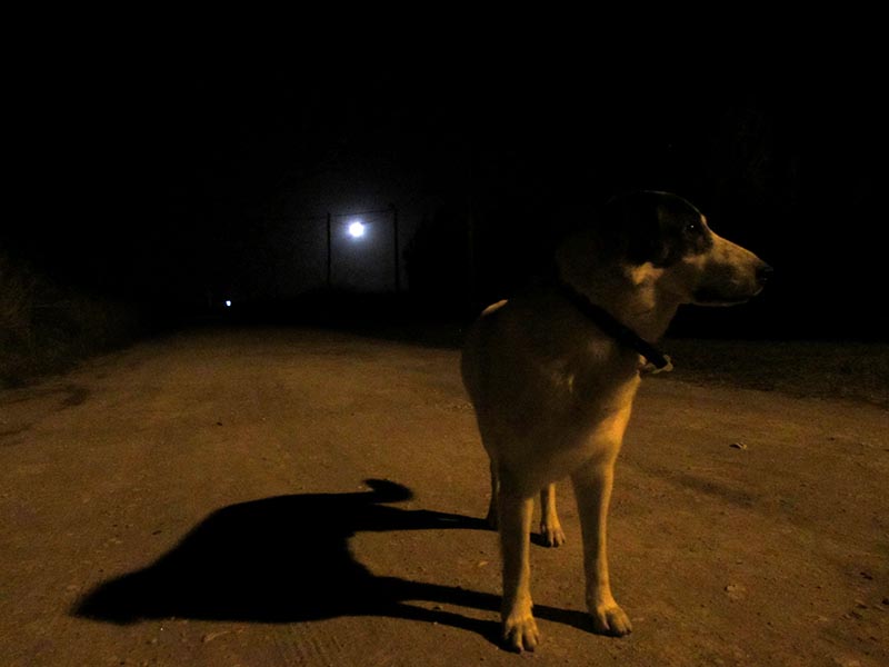 Pueblo Reta - Morgan y la luna